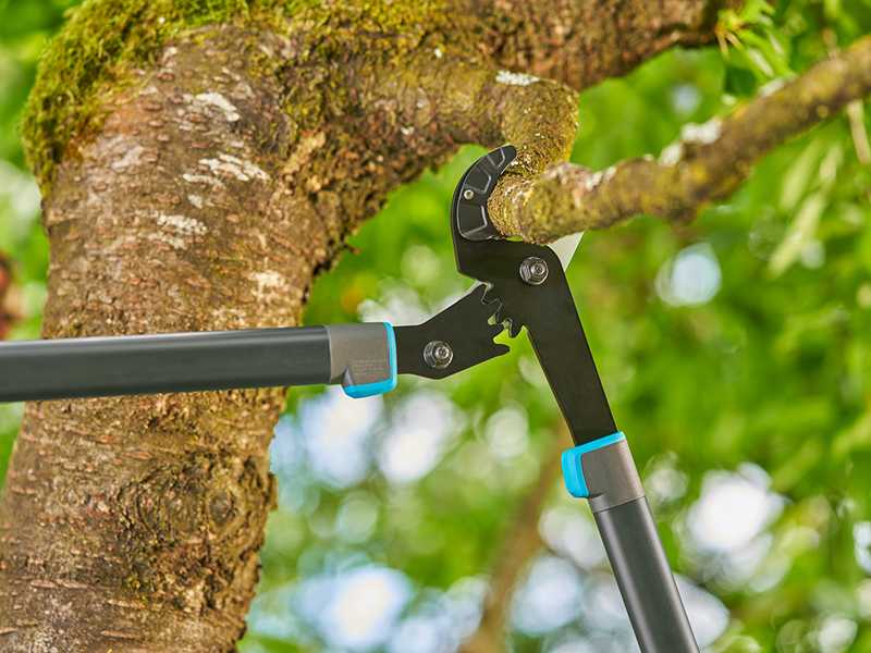 Gardena EnergyCut Pro L - Coupe-branches en Promotion | AgriEuro