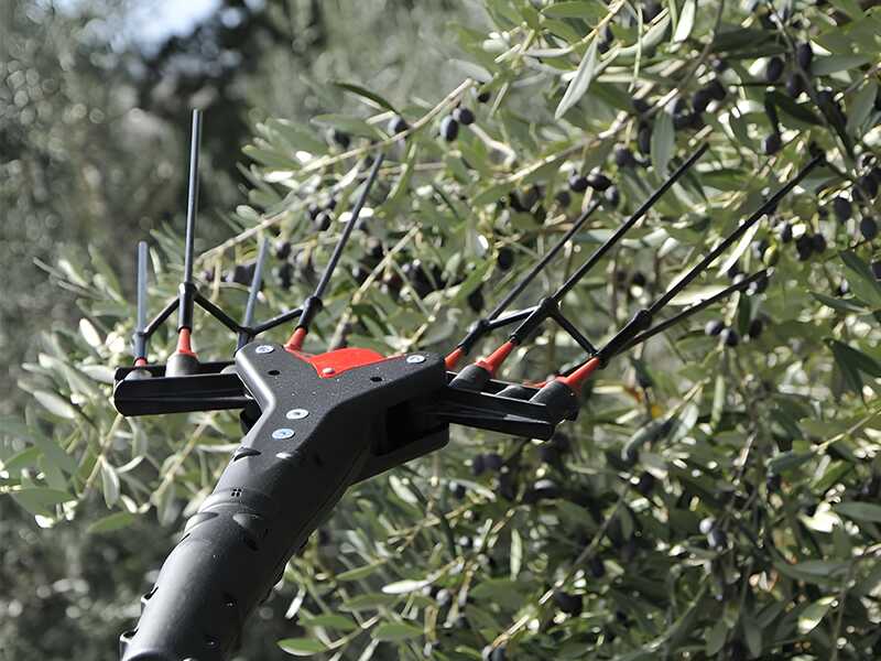 Castellari Vertigo L 18V - Peigne vibreur 18V en Promotion | AgriEuro