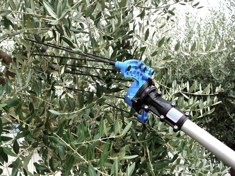 Peigne vibreur Campagnola Hercules en Promotion | AgriEuro