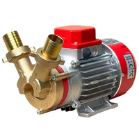 Rover Marina 30 - 12V - Pompe de transfert en Promotion | AgriEuro