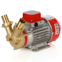Rover Marina 30 - 24V - Pompe de transfert en Promotion | AgriEuro